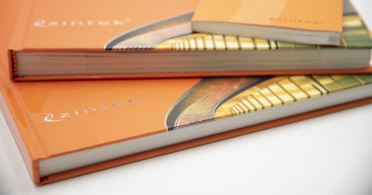 Zintek - Brand Identity